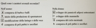 Risolto:Quali sono i caratteri sessuali secondari? Nell'uomo: Nella ...