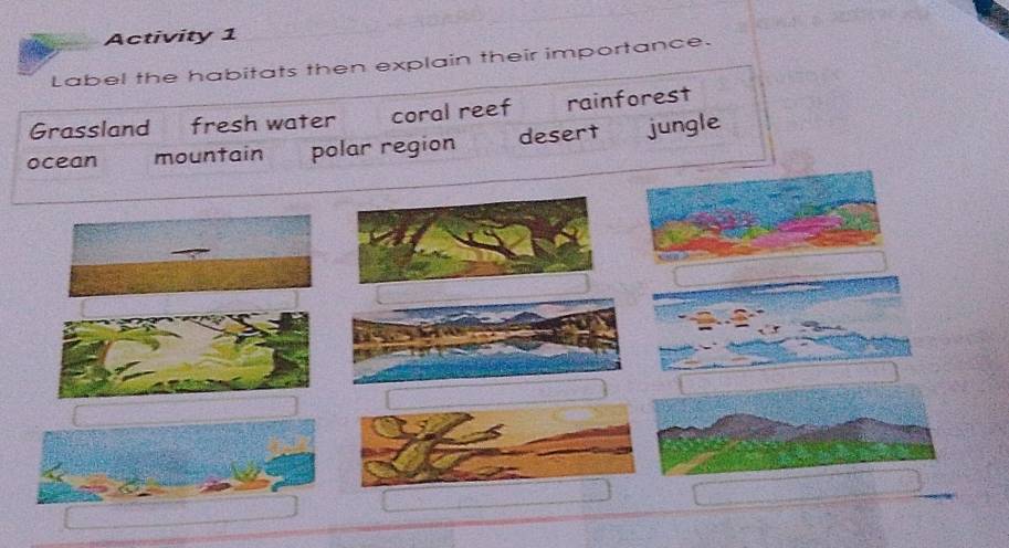 Solved: Activity 1 Label the habitats then explain their importance ...