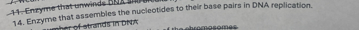 Solved: Enzyme that unwinds DNA an 14. Enzyme that assembles the ...