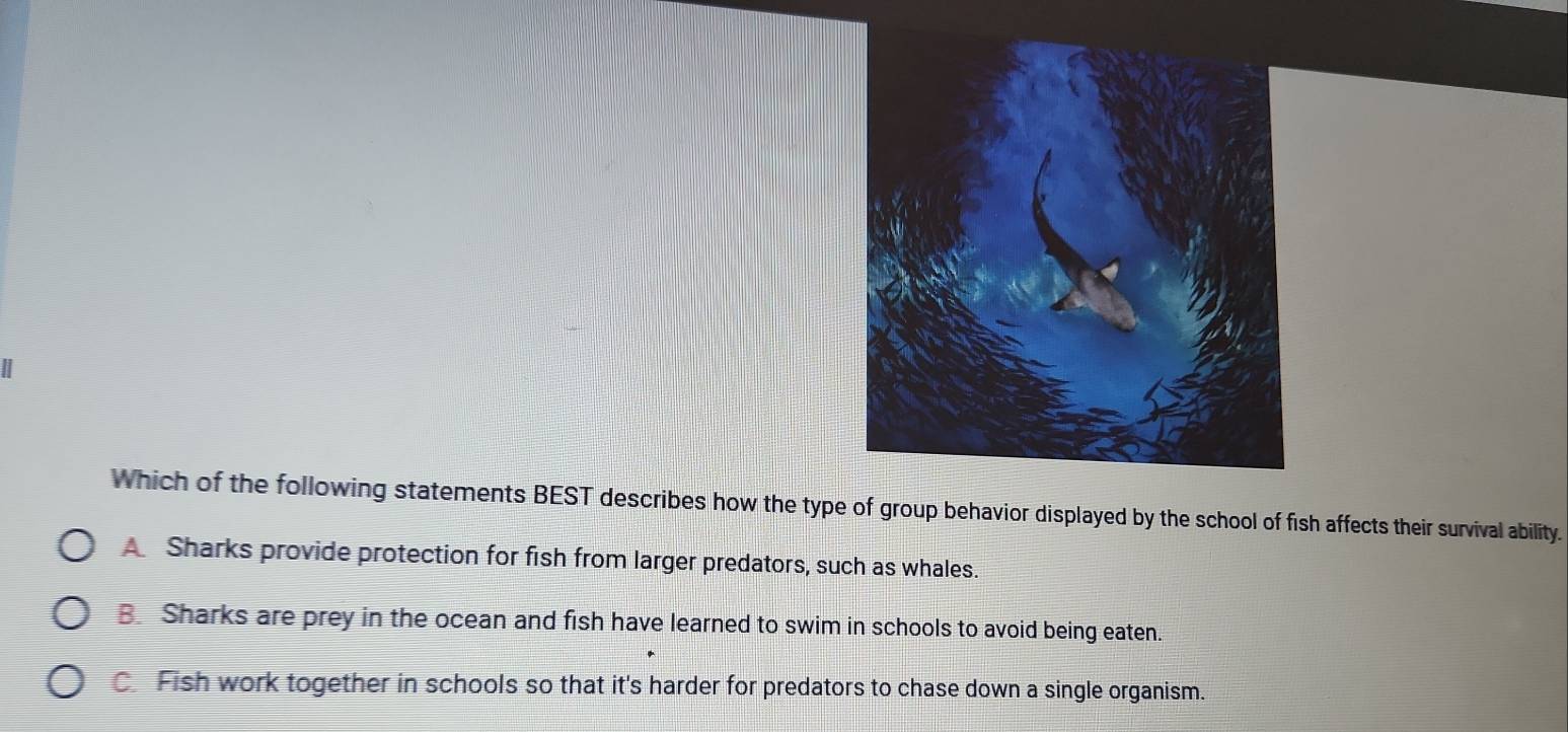 Solved: Which of the following statements BEST describes how the type ...