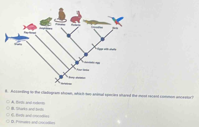 Solved: According to the cladogram shown, which two animal species shared the most recent common ...