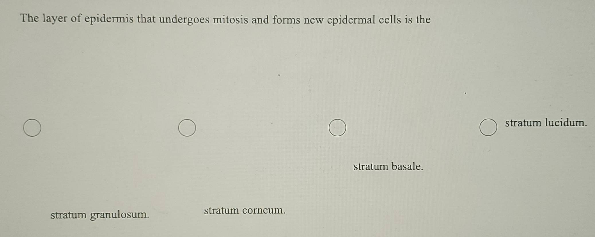 Solved: The layer of epidermis that undergoes mitosis and forms new ...