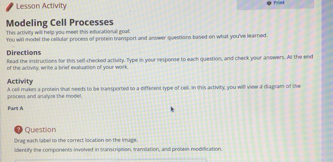Solved: Lesson Activity Print Modeling Cell Processes This activity ...
