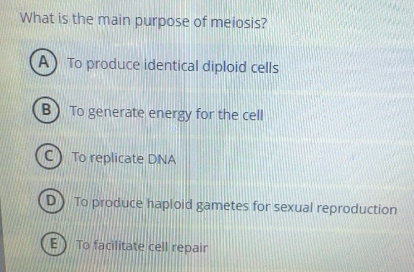 Solved: What is the main purpose of meiosis? A To produce identical ...
