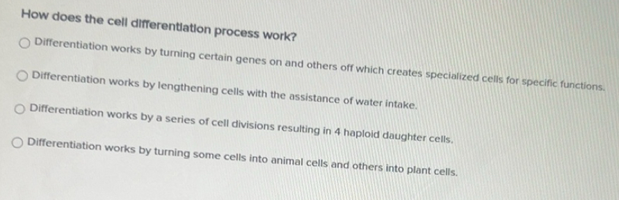 Solved: How does the cell differentiation process work? Differentiation ...