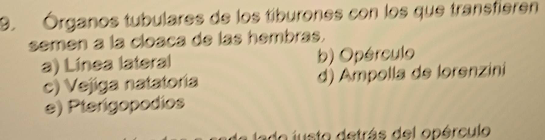 Resuelto:Órganos tubulares de los tiburones con los que transfieren ...