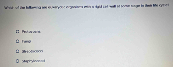 Solved: Which of the following are eukaryotic organisms with a rigid ...