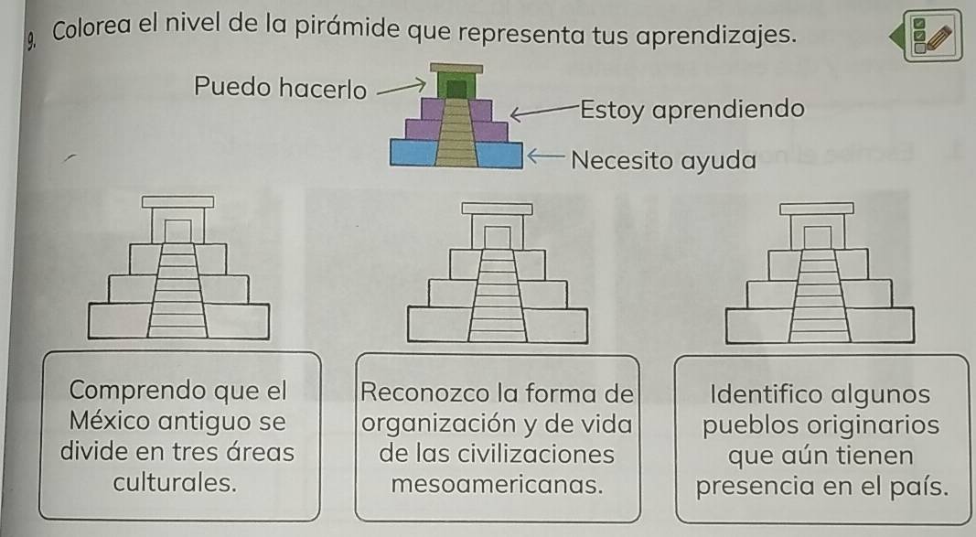 Resuelto:Colorea el nivel de la pirámide que representa tus ...