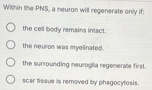 Solved: Within the PNS, a neuron will regenerate only if: the cell body ...