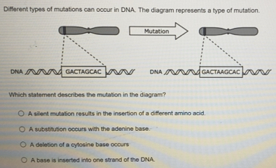 Resuelto:Different types of mutations can occur in DNA. The diagram ...