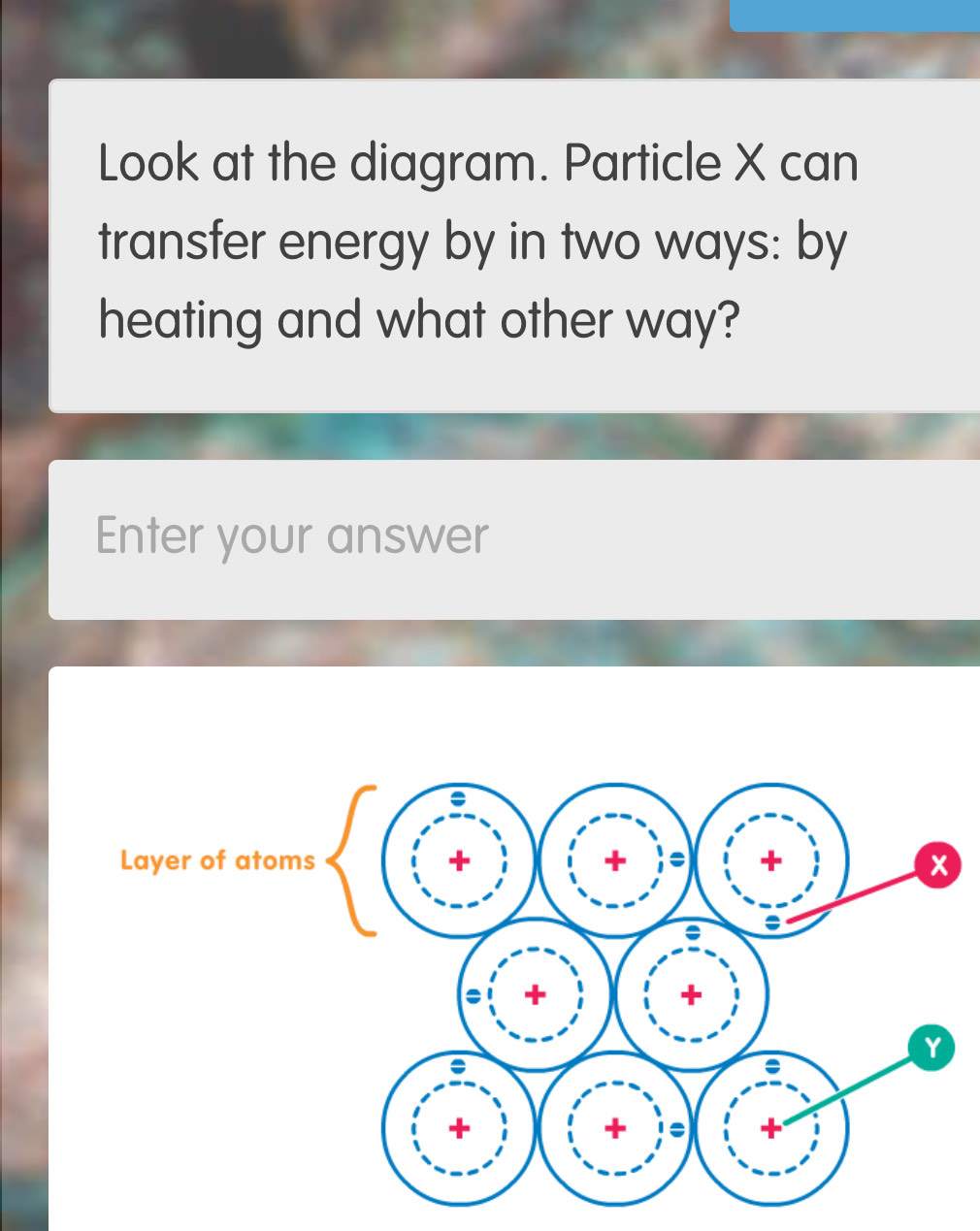 Solved: Look at the diagram. Particle X can transfer energy by in two ...