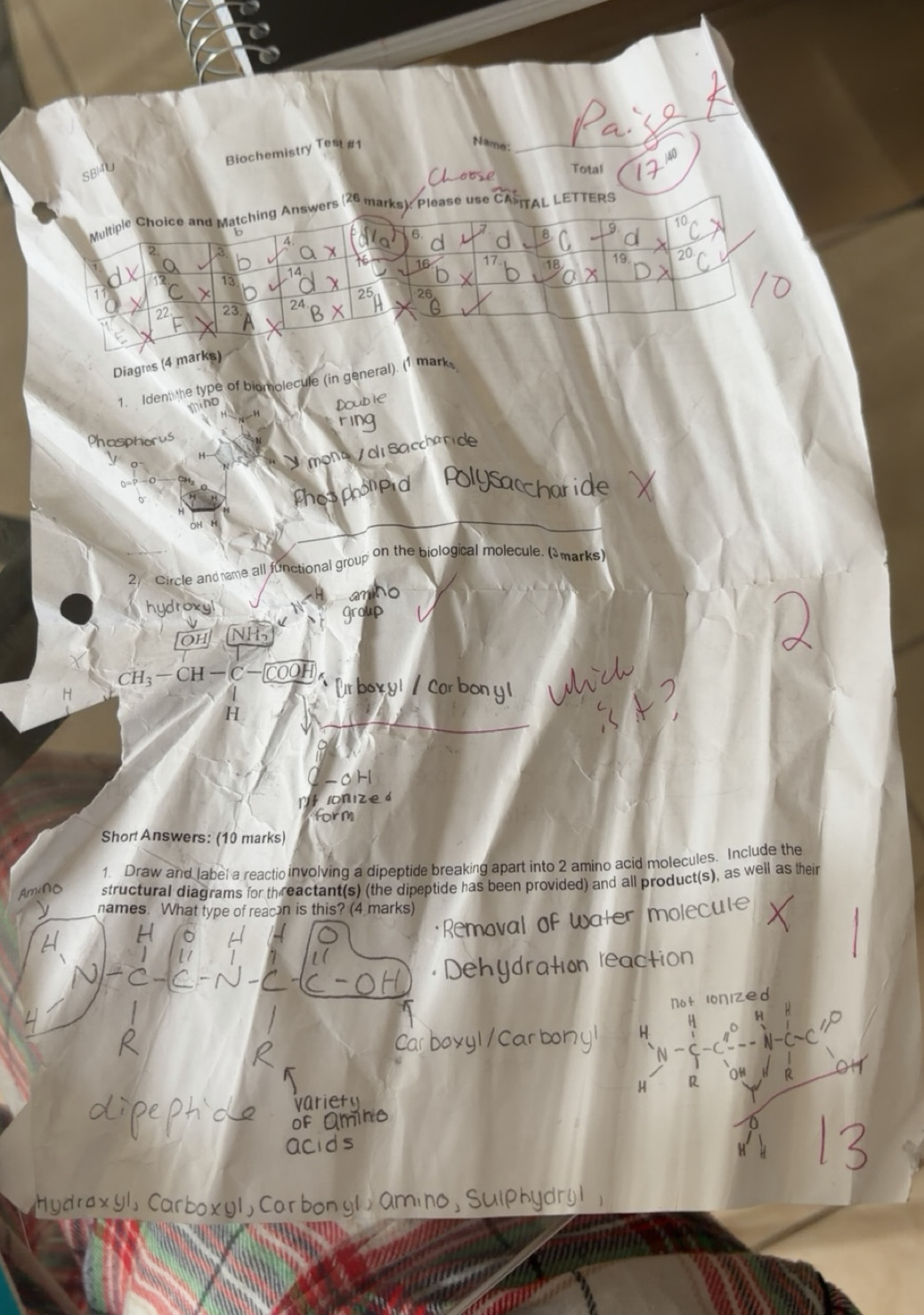 Solved: Biochemistry Test #1 Name: SBI4∪ Total obse Multiple Choice and ...