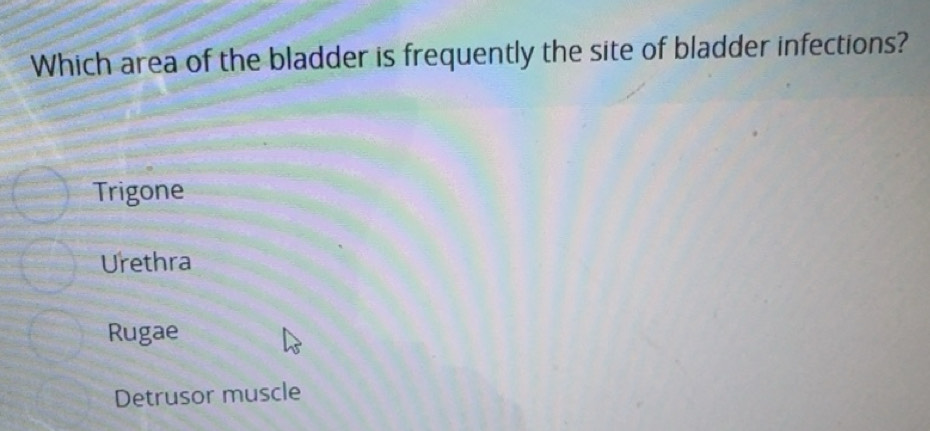 Solved: Which area of the bladder is frequently the site of bladder ...