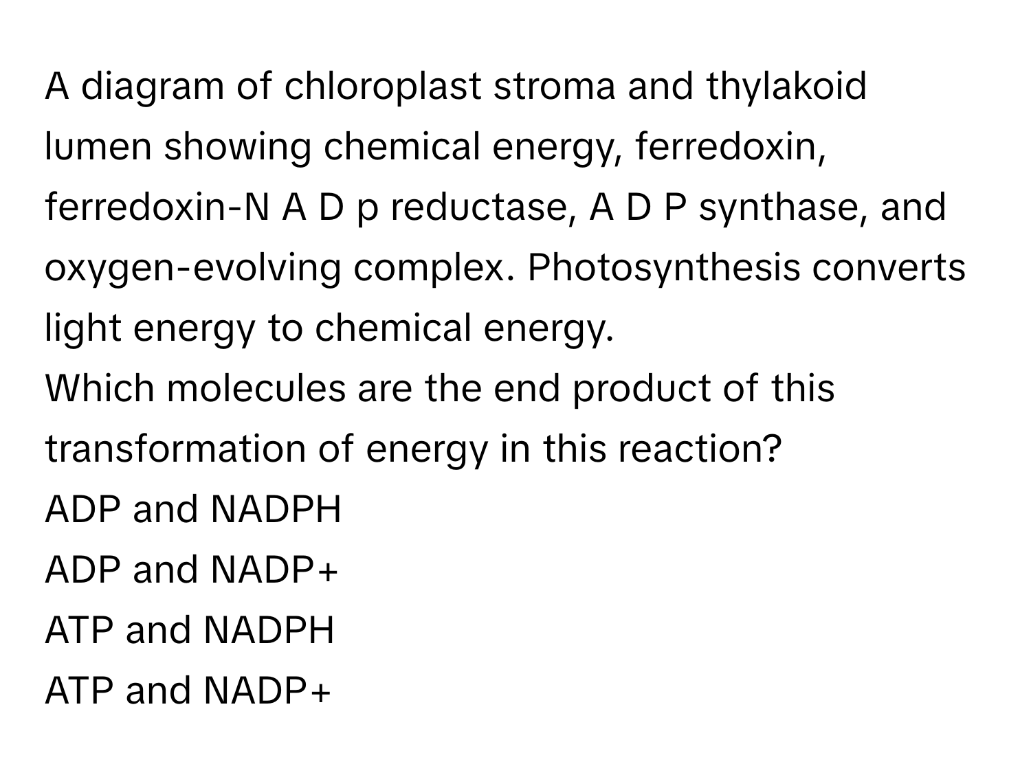 Solved: A diagram of chloroplast stroma and thylakoid lumen showing ...