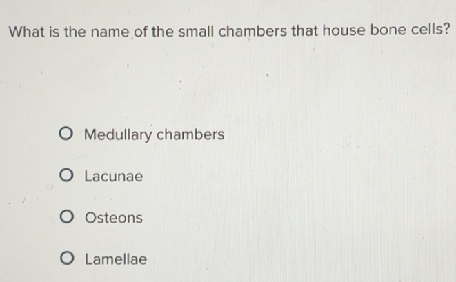 Solved: What is the name of the small chambers that house bone cells ...