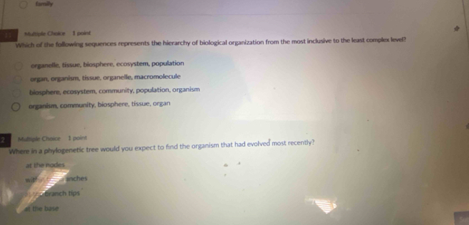 Solved: family 11 Multiple Choice 1 point Which of the following ...