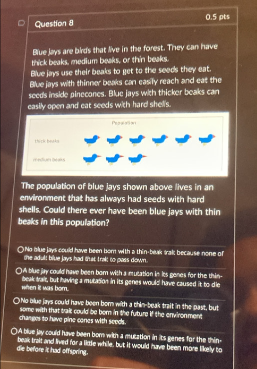 Solved: Blue jays are birds that live in the forest. They can have ...