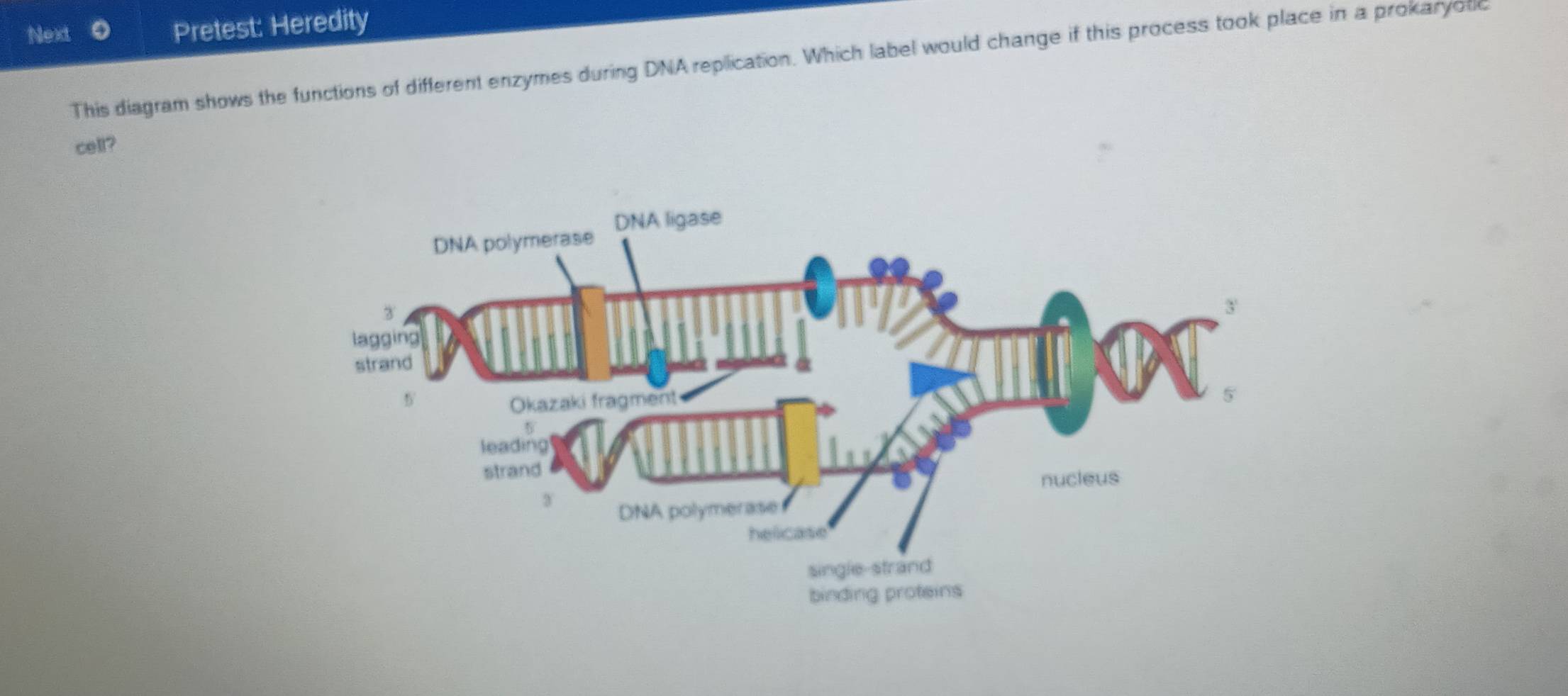 Solved: Next Pretest: Heredity This diagram shows the functions of ...