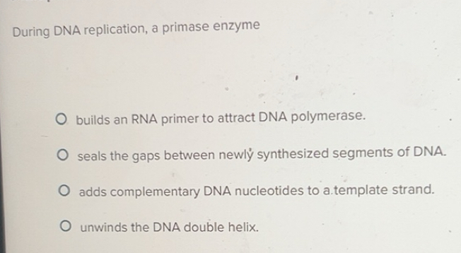 Solved: During DNA replication, a primase enzyme builds an RNA primer ...