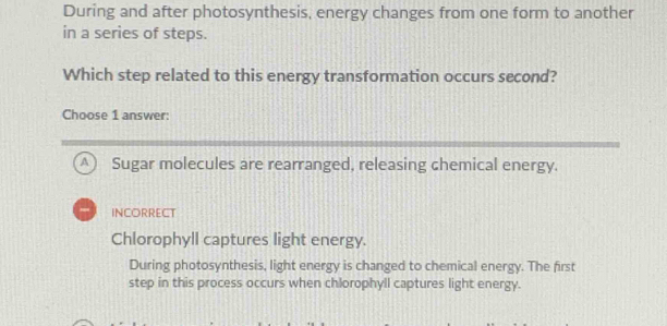 Solved: During and after photosynthesis, energy changes from one form ...