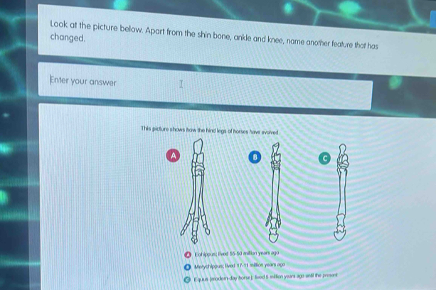Solved: Look at the picture below. Apart from the shin bone, ankle and ...
