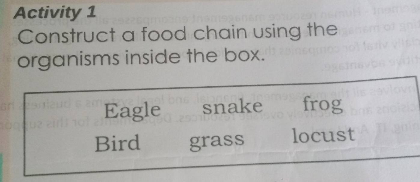 Solved: Activity 1 Construct a food chain using the organisms inside ...