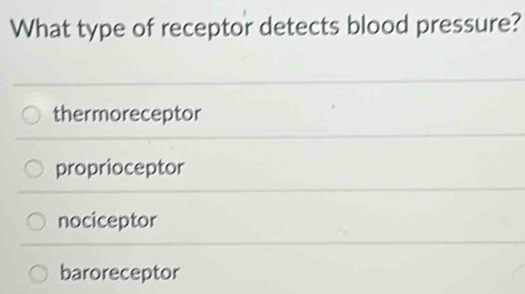 Solved: What type of receptor detects blood pressure? thermoreceptor proprioceptor nociceptor ...