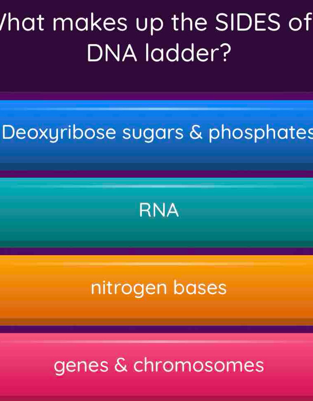 Solved: hat makes up the SIDES of DNA ladder? Deoxyribose sugars ...