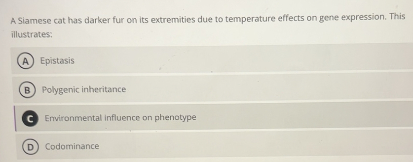 Solved: A Siamese cat has darker fur on its extremities due to ...