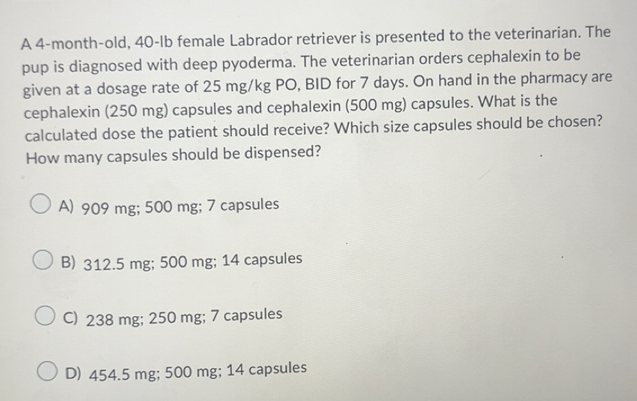 Solved: A 4-month-old, 40-Ib female Labrador retriever is presented to ...