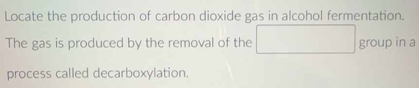 Solved: Locate the production of carbon dioxide gas in alcohol ...