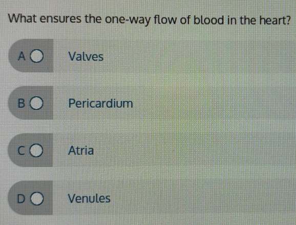 Solved: What ensures the one-way flow of blood in the heart? A Valves ...