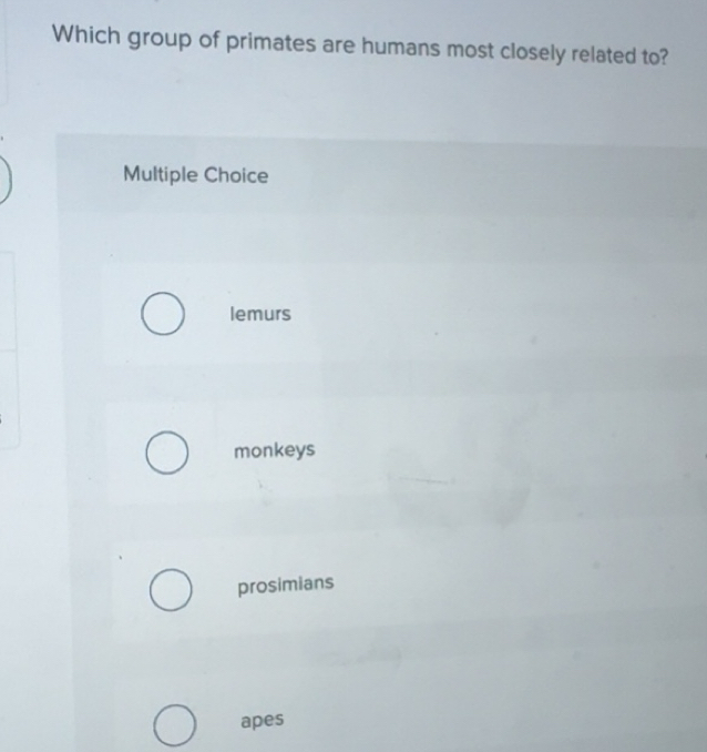 Solved: Which group of primates are humans most closely related to ...