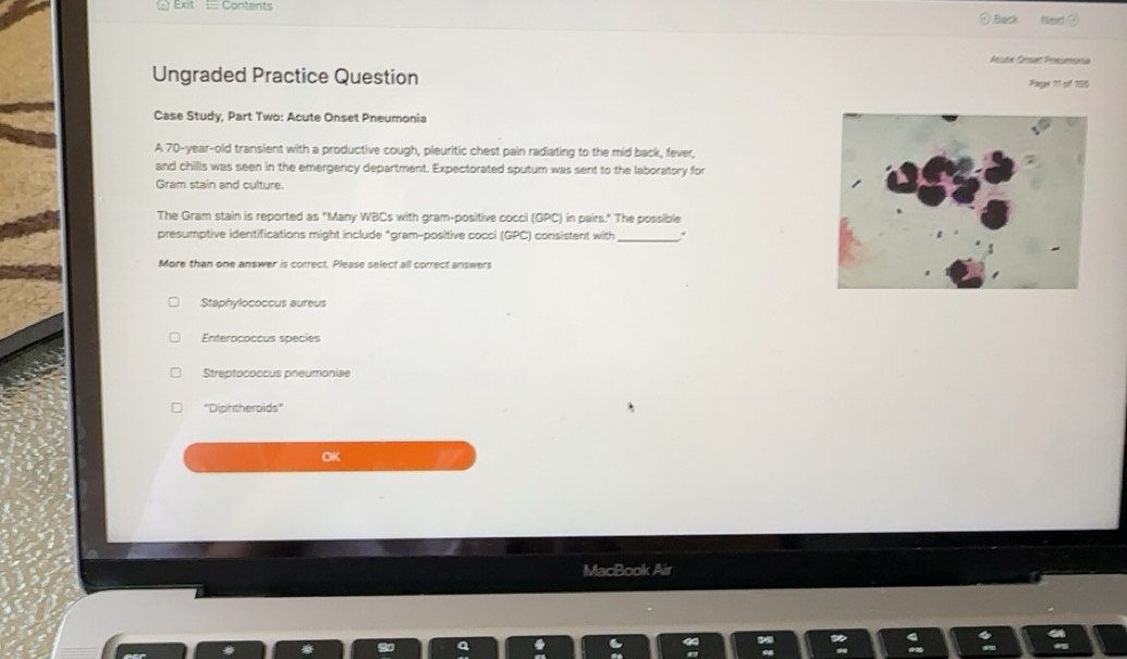 Solved: Ext = Contents Arta Grmr Preymsónía Ungraded Practice Question ...