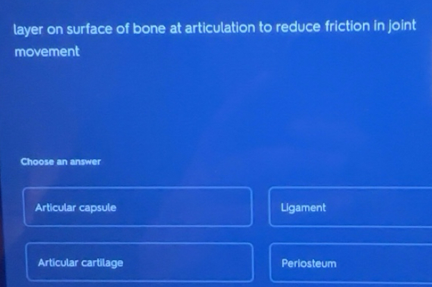 Solved: layer on surface of bone at articulation to reduce friction in ...
