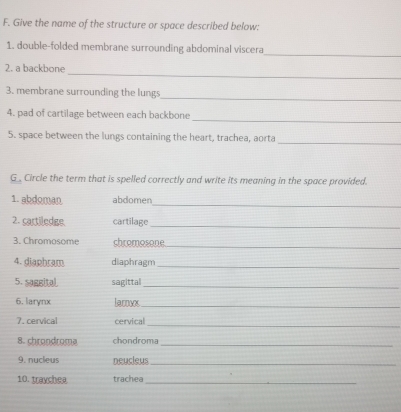 Solved: Give the name of the structure or space described below: _ 1 ...