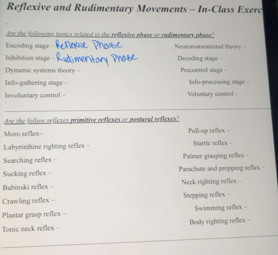 Solved: Reflexive and Rudimentary Movements - In-Class Exerc Are the ...