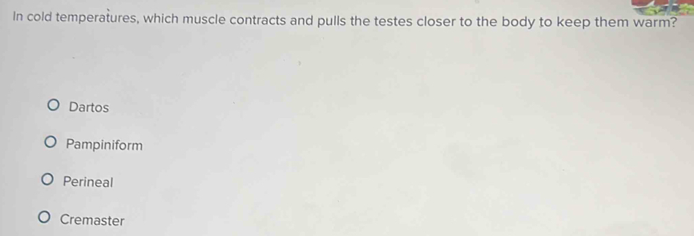 Solved: In cold temperatures, which muscle contracts and pulls the ...