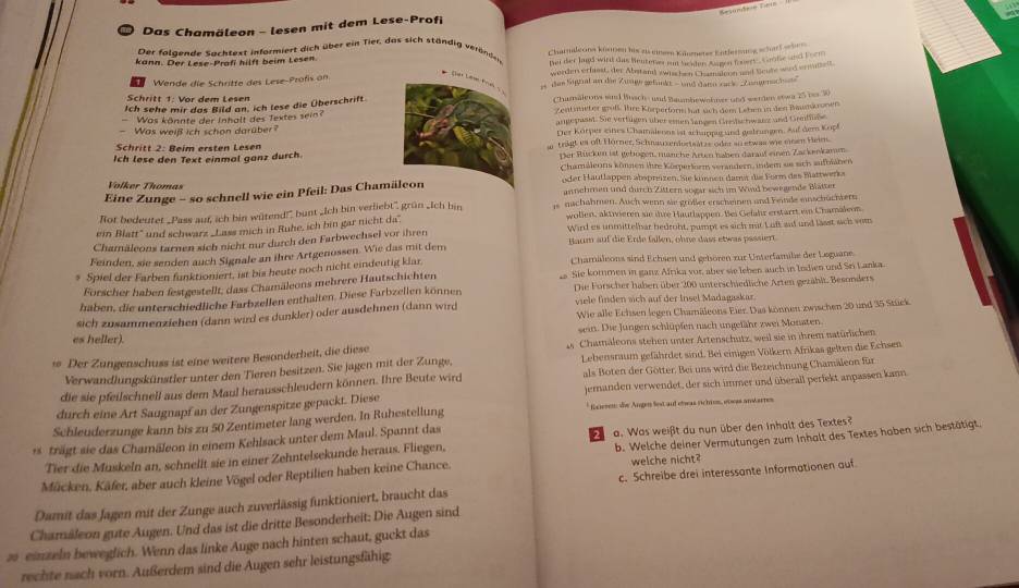 Gelöst:Das Chamäleon - lesen mit dem Lese-Profi Der falgende Sachtext ...
