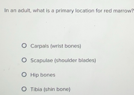 Solved: In an adult, what is a primary location for red marrow? Carpals ...