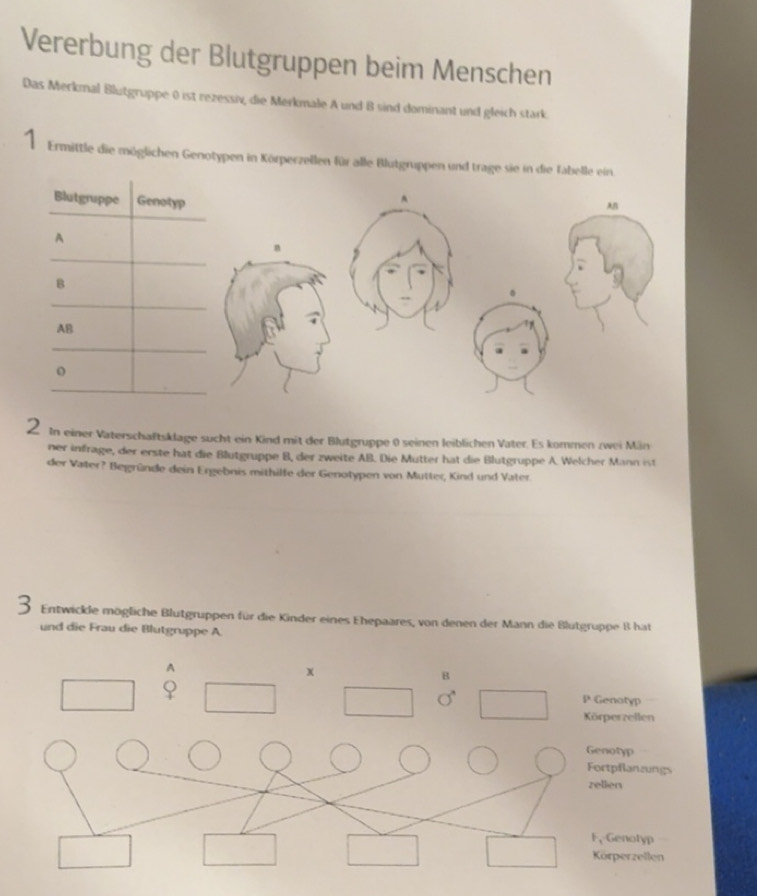 Gelöst:Vererbung der Blutgruppen beim Menschen Das Merkmal Blutgruppe ...