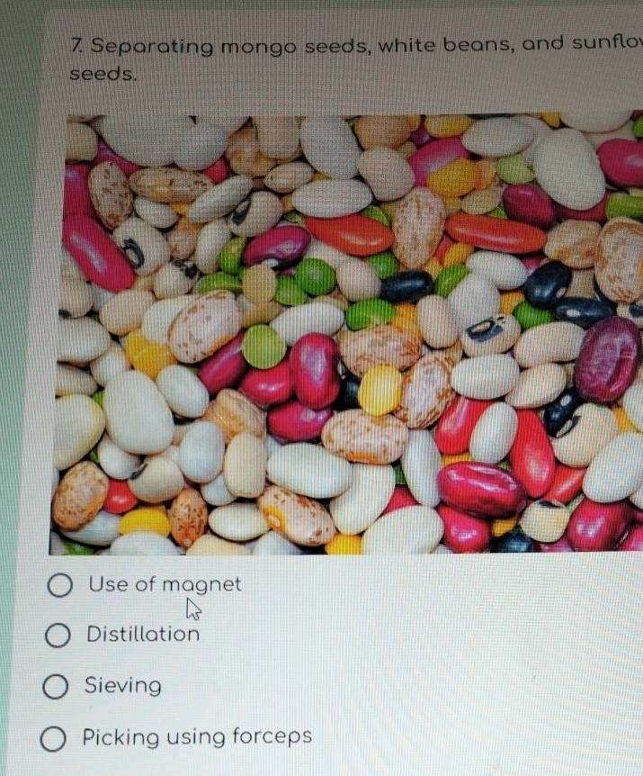 Solved: Separating mongo seeds, white beans, and sunflo seeds. Use of ...