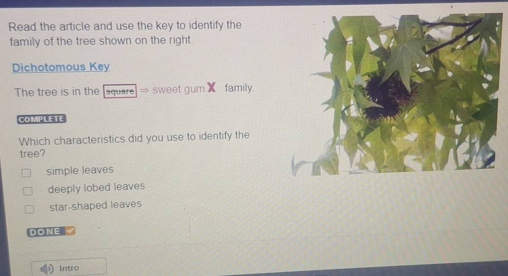 Solved: Read the article and use the key to identify the family of the ...