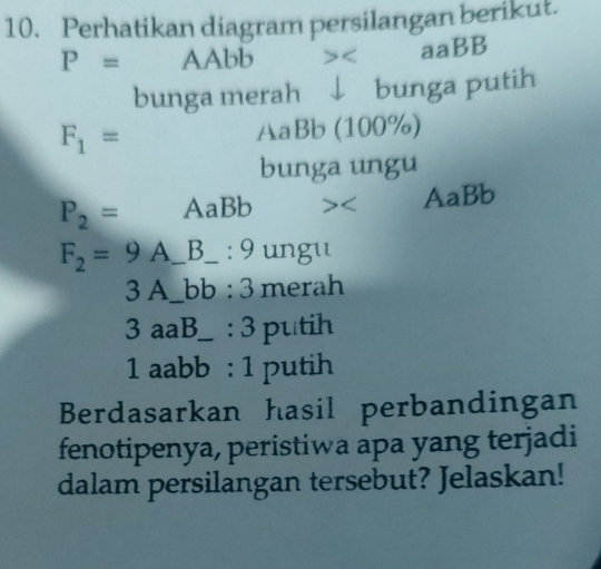 Telah dijawab:Perhatikan diagram persilangan berikut. P= AAbb aaBB bunga merah bunga putih F_1 ...