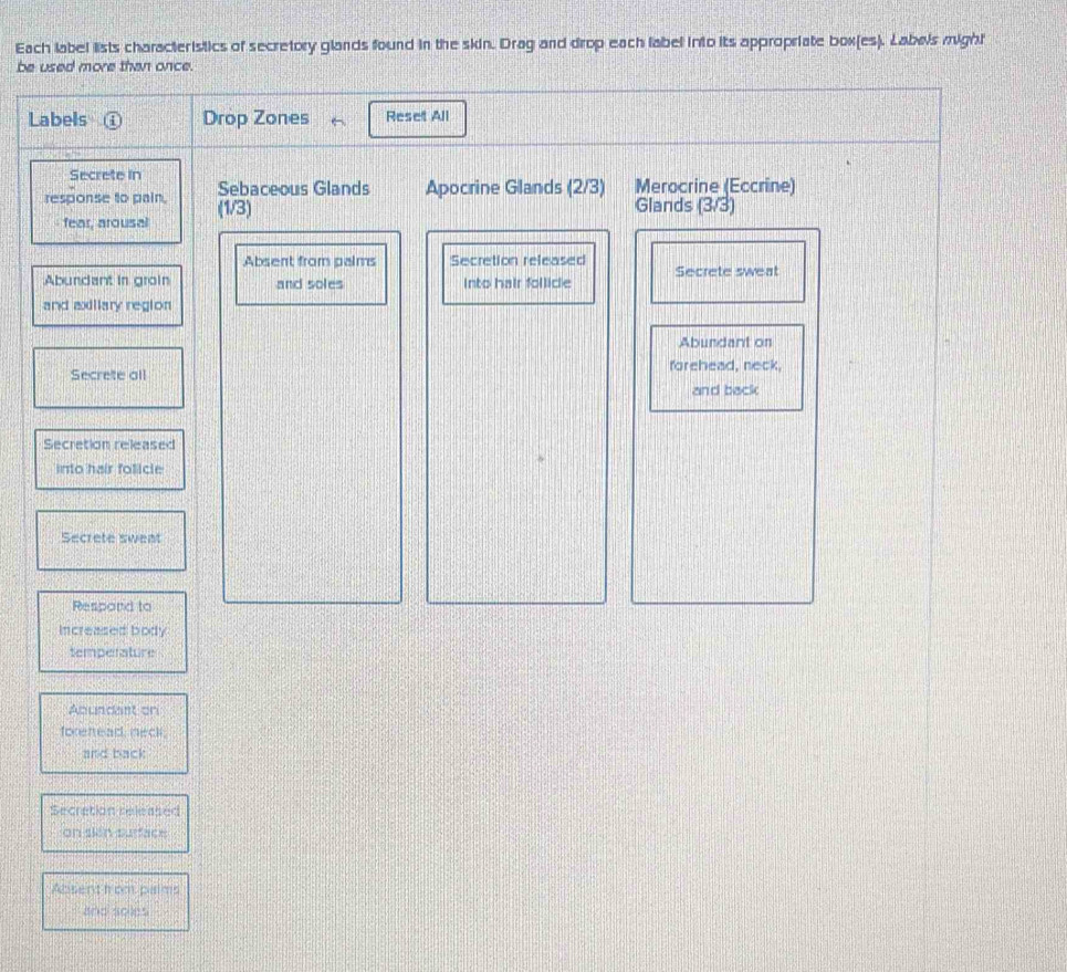 Solved: Each label lists characteristics of secretory glands found in ...