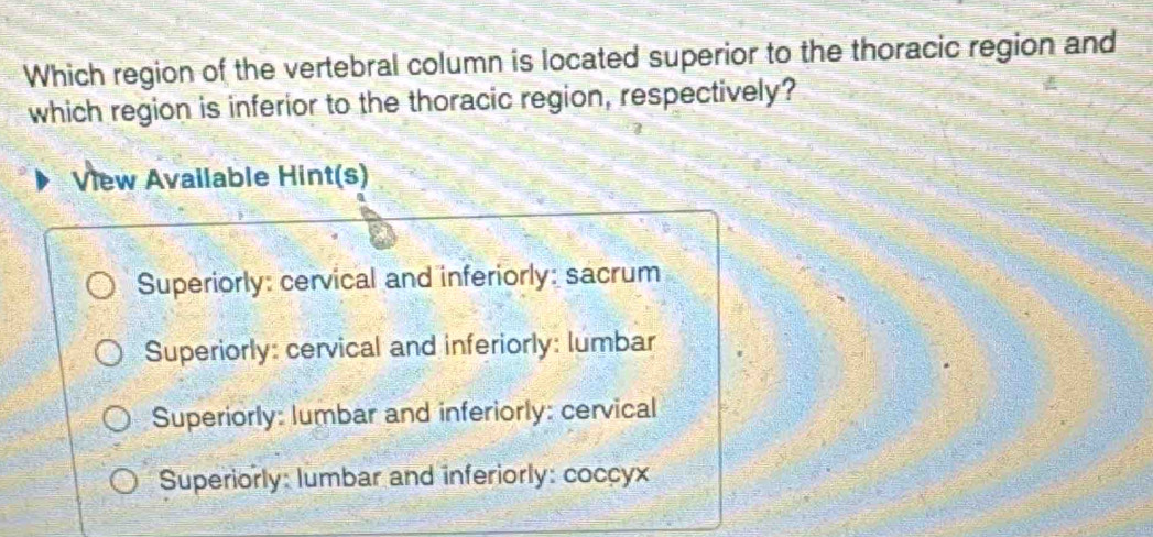 Solved: Which region of the vertebral column is located superior to the ...