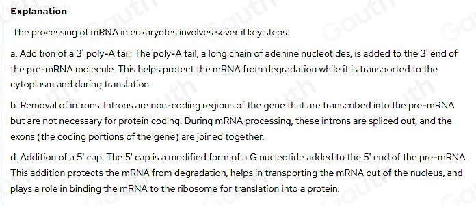 Solved: In eukaryotes, the processing of mRNA would include... (check ...