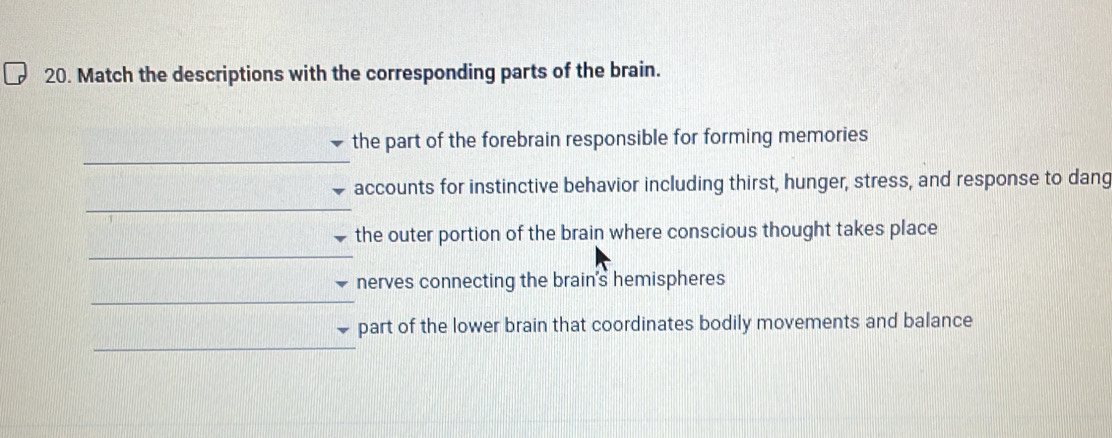 Solved: Match the descriptions with the corresponding parts of the ...
