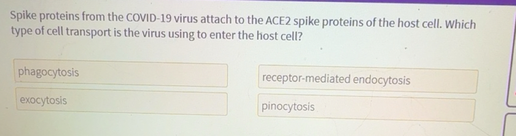 Solved: Spike proteins from the COVID-19 virus attach to the ACE2 spike ...