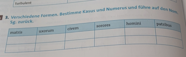 Gelöst:turbulent edene Formen. Bestimme Kasus und Numerus und führe auf ...